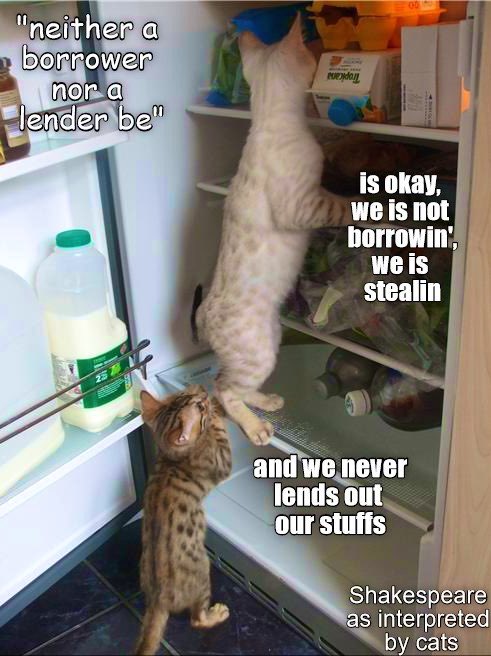 Shakespeare Cat Meme