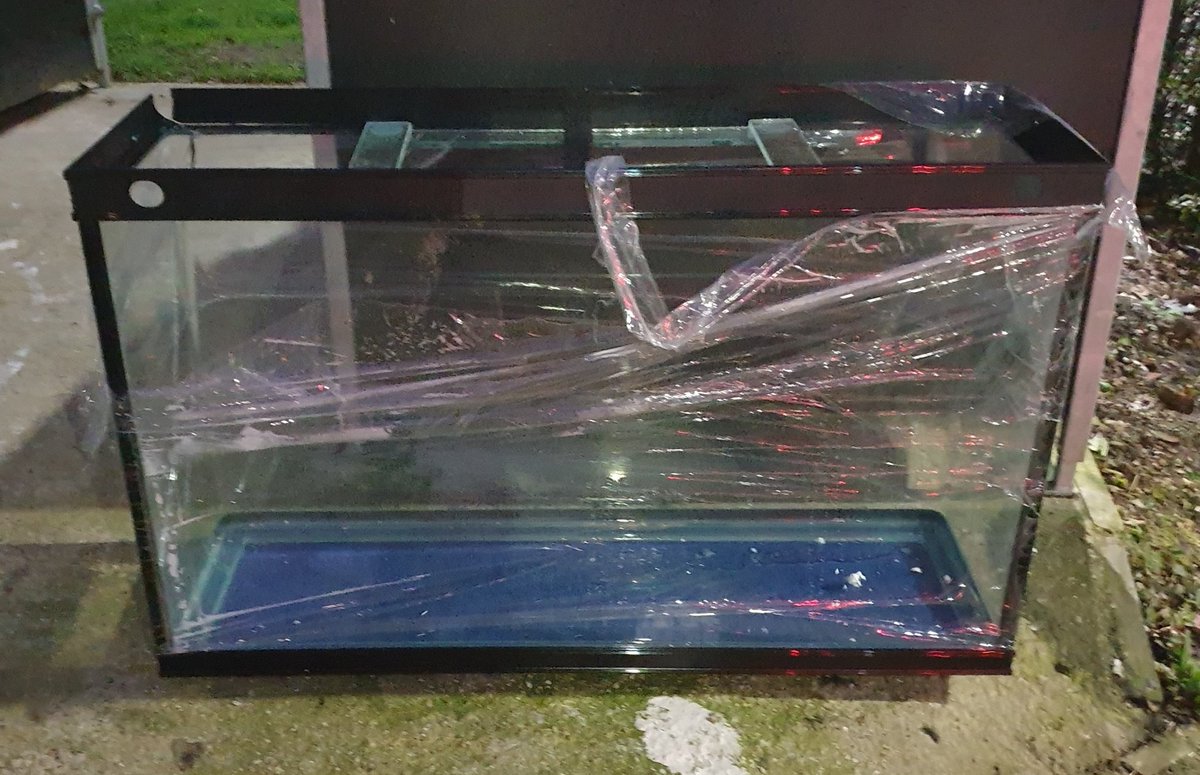 Empty Giant Fish Tank