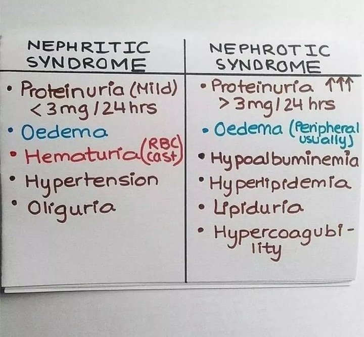 Nephrotic Syndrome Clinical Features Mnemonic