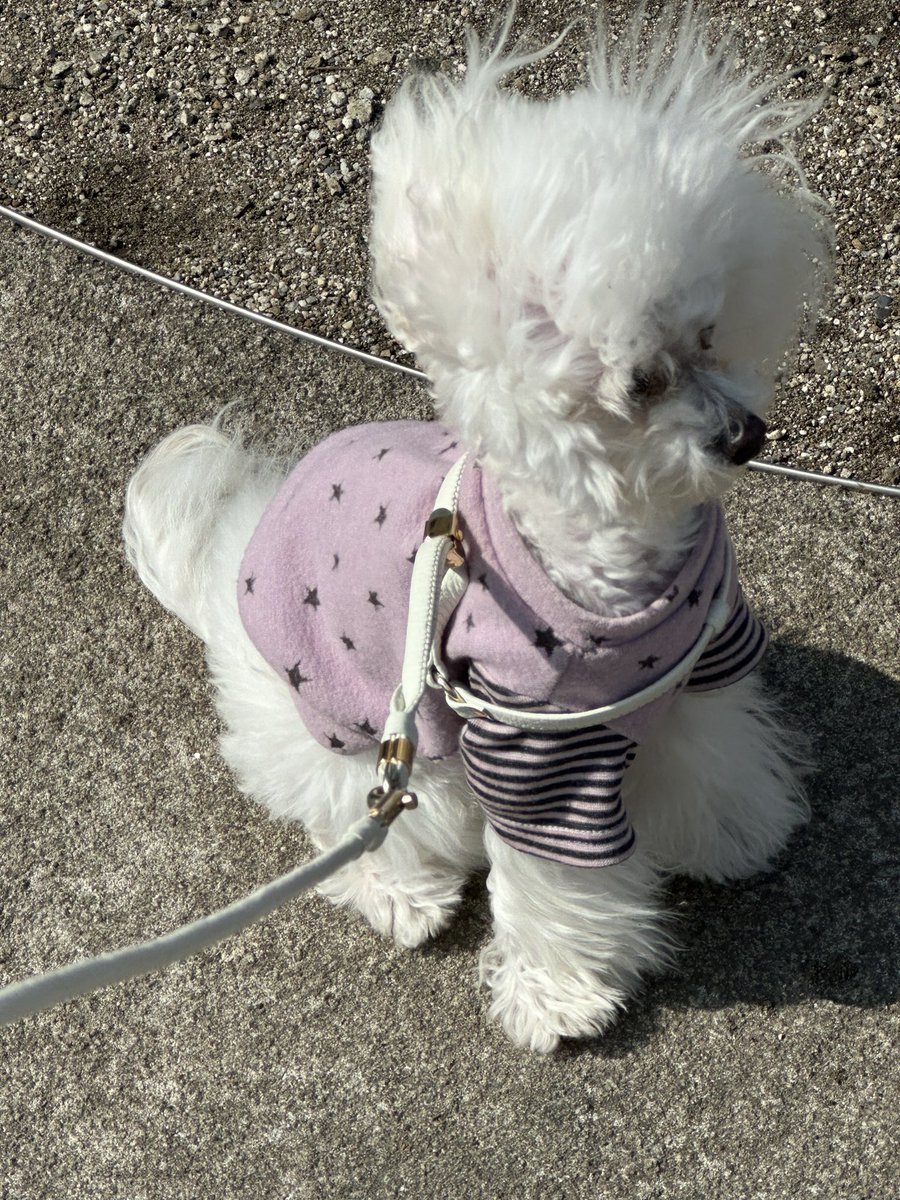 D51P(@D51P) - Twilog