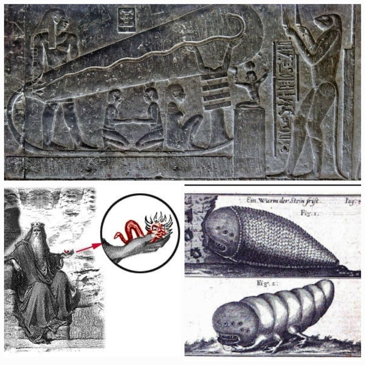 On the walls of a temple in Egypt are said to be depictions of an ...