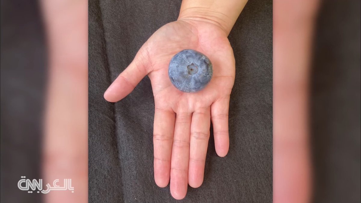 صحيفة العربي الجديد/#فيديو | تبذير المواطن التونسي في الأكلات المطبوخة ...