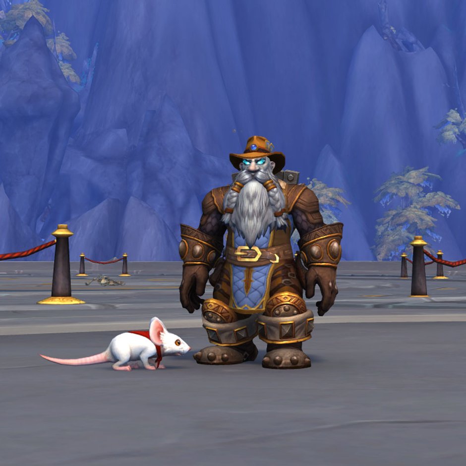 Dwarf Hunter Transmog