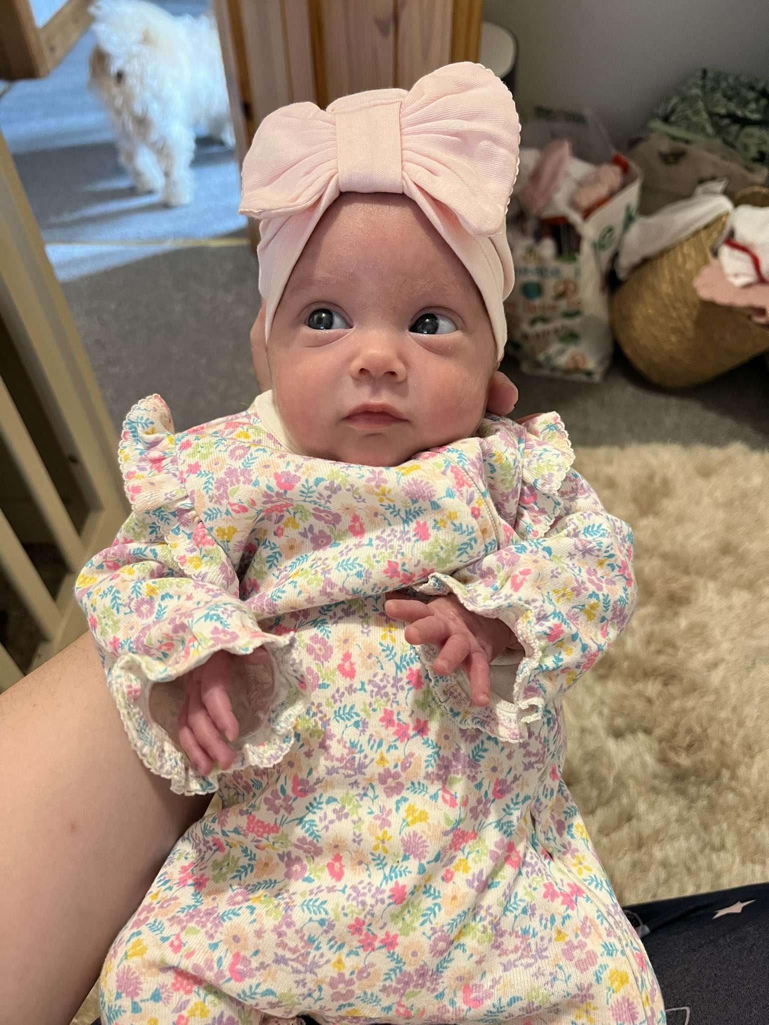 Most Beautiful Baby Girls In The World