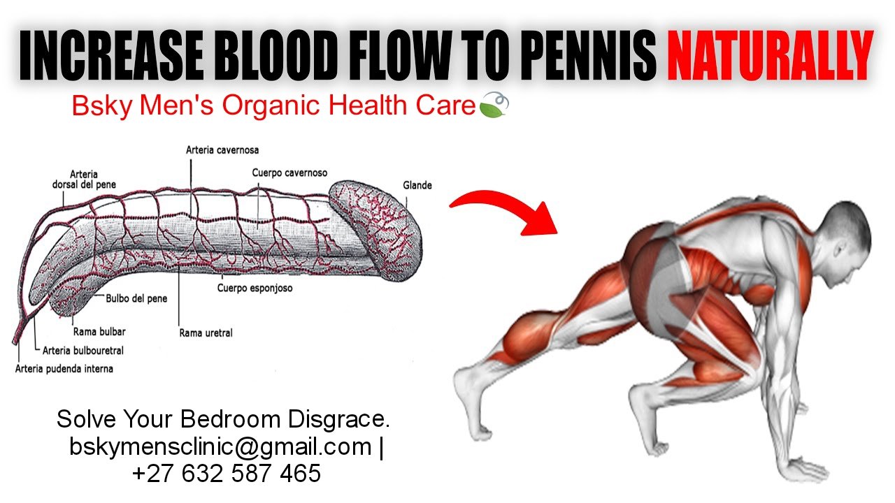 Increase Penile Blood Flow Eat These Foods For Powerful Erections And