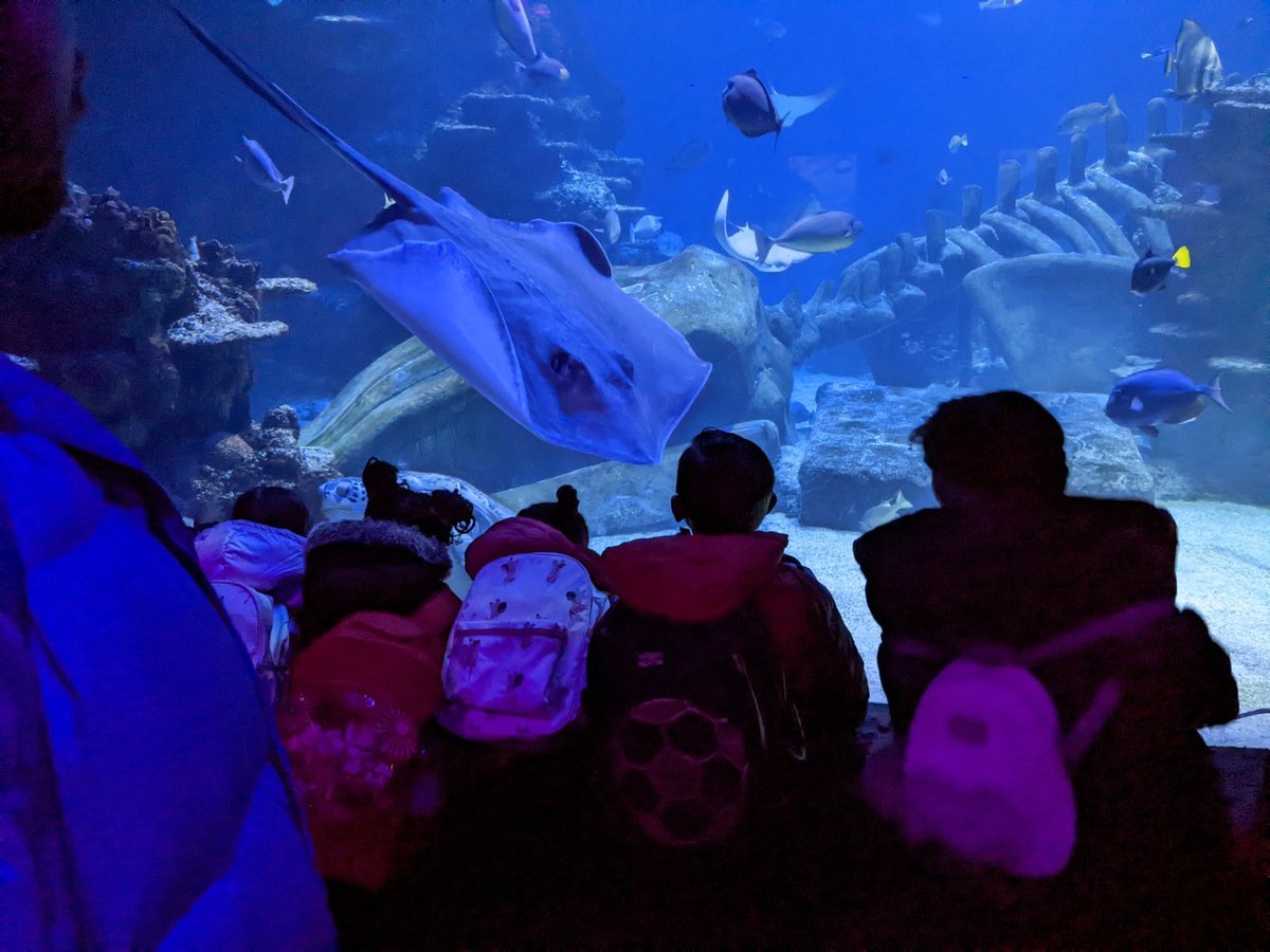 Home - Welbourne Primary School