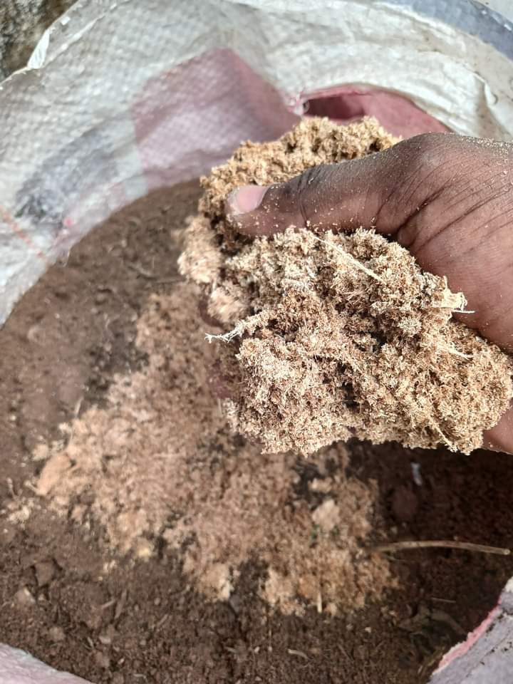 HOW TO GREMINATE YAM USING THE MINISETT TECHNOLOGY. A Thread. Retweet ...