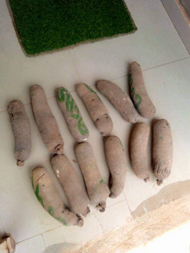 HOW TO GREMINATE YAM USING THE MINISETT TECHNOLOGY. A Thread. Retweet ...
