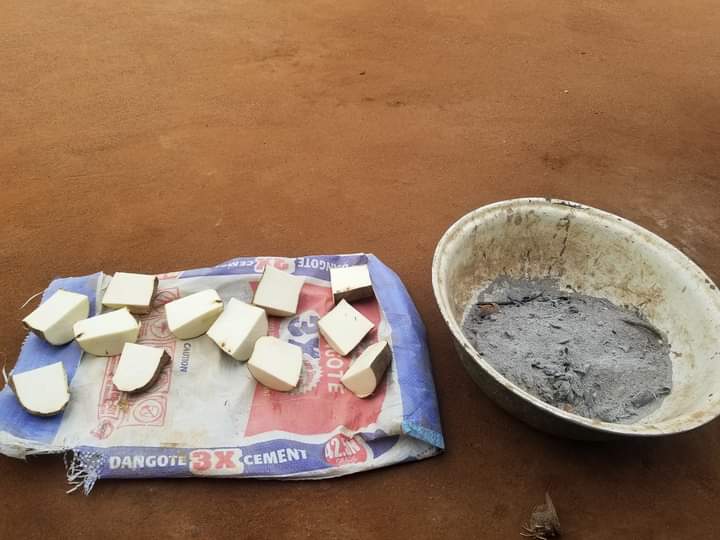 HOW TO GREMINATE YAM USING THE MINISETT TECHNOLOGY. A Thread. Retweet ...