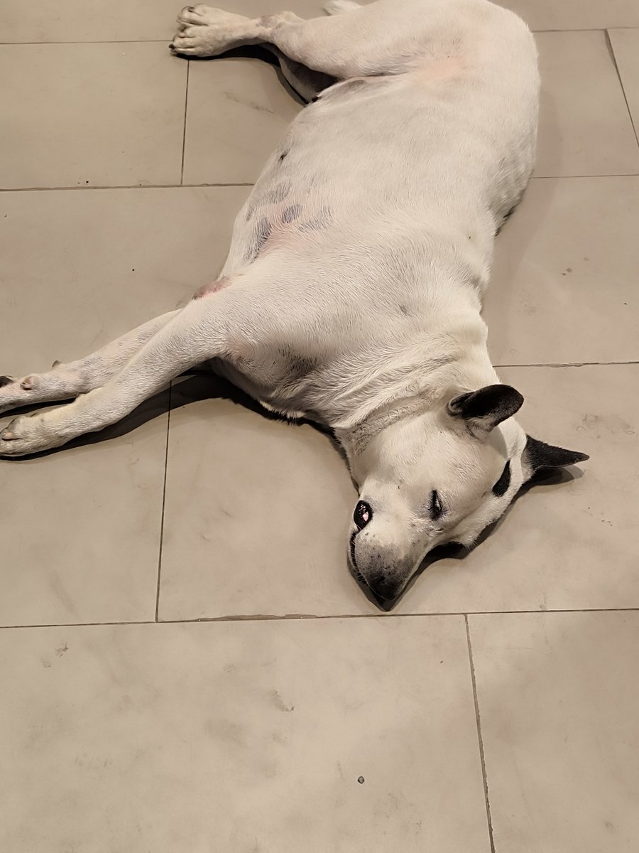 root(@root_9) - Twilog (ツイログ)