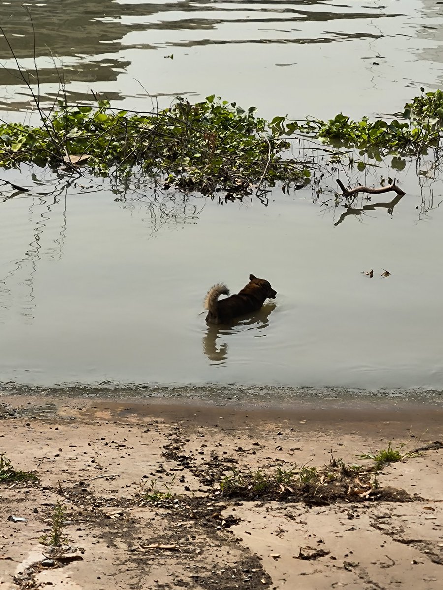 root(@root_9) - Twilog (ツイログ)