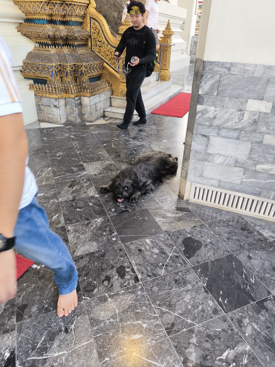 root(@root_9) - Twilog (ツイログ)