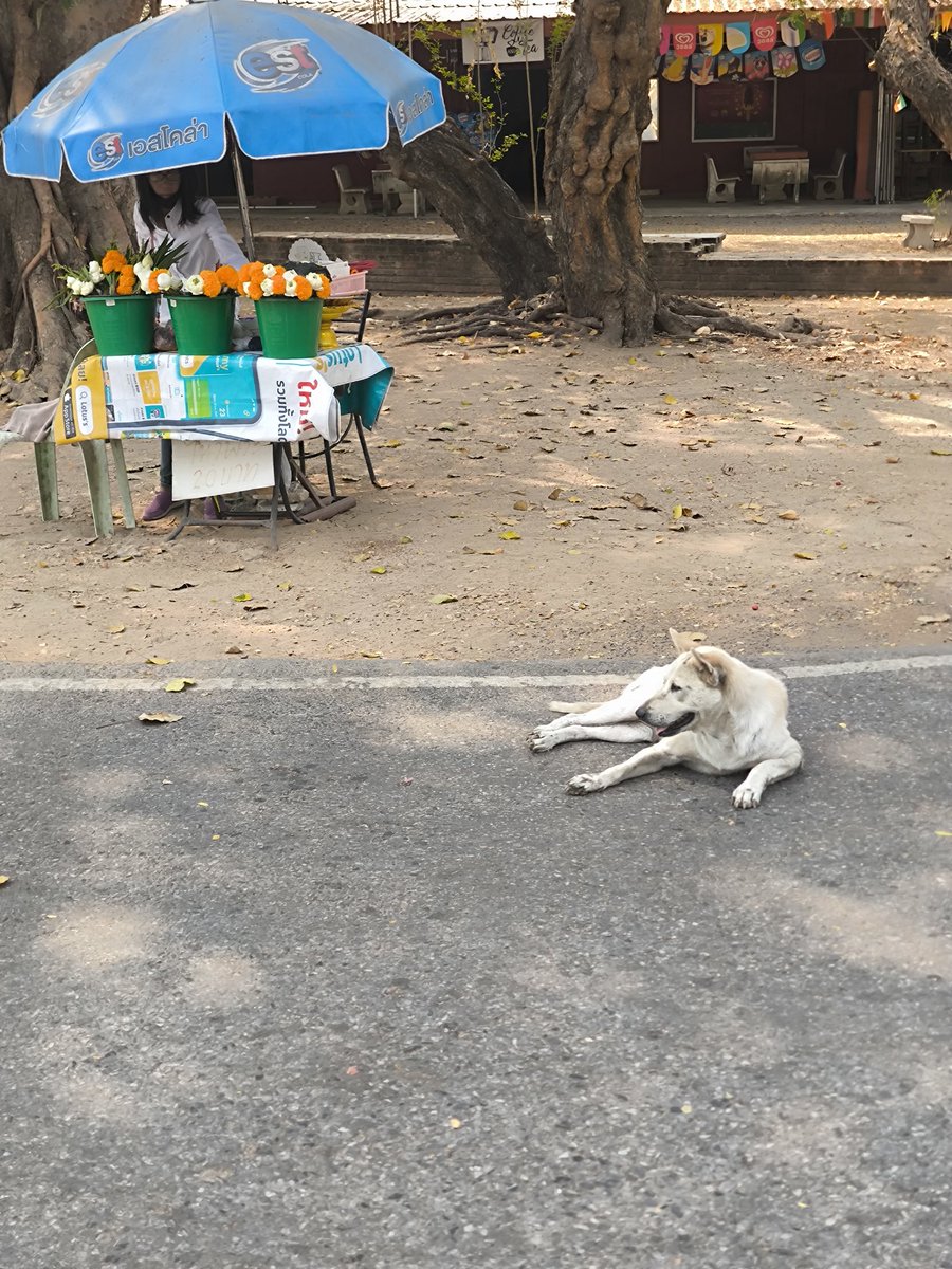 root(@root_9) - Twilog (ツイログ)