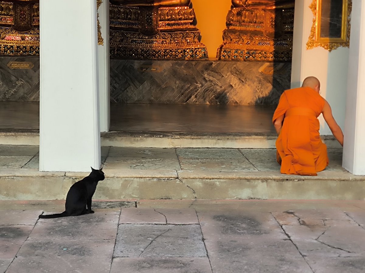 root(@root_9) - Twilog (ツイログ)