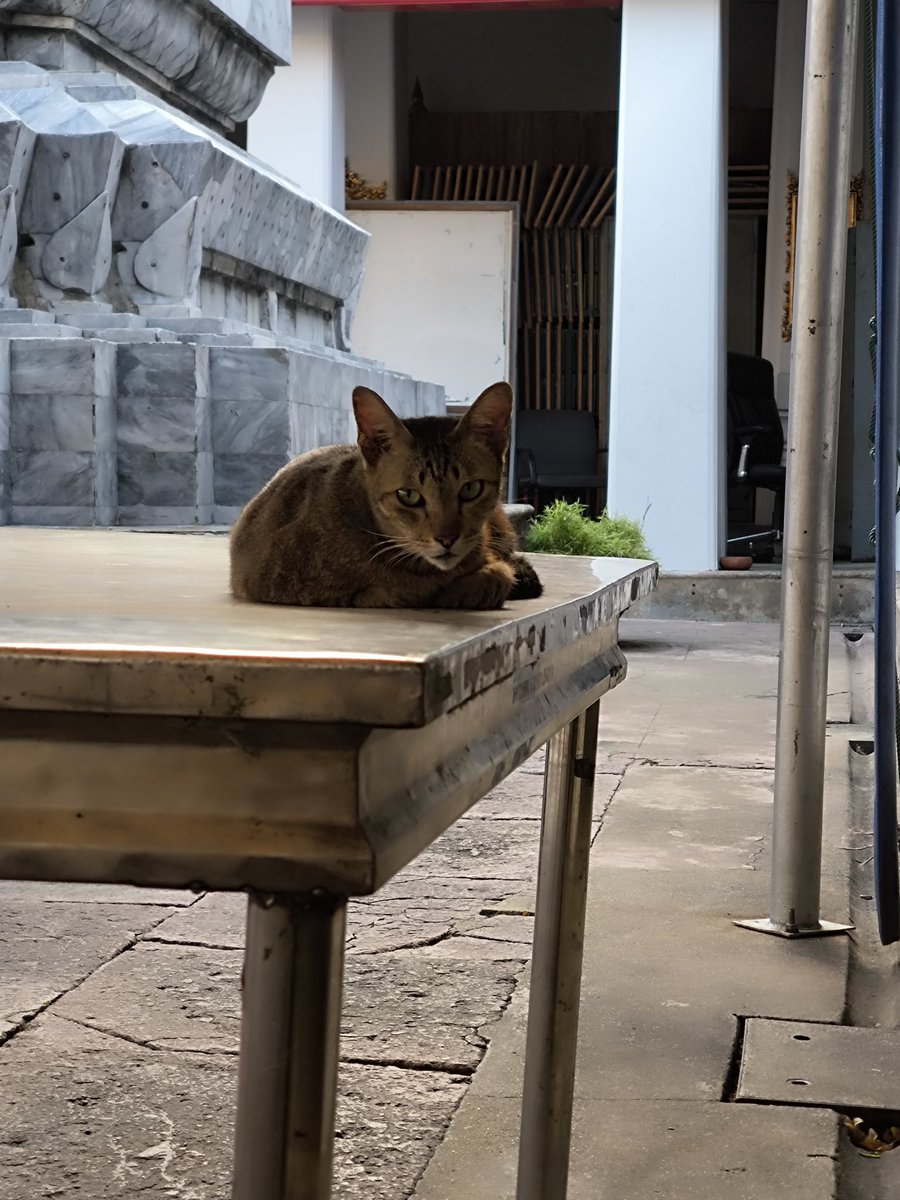 root(@root_9) - Twilog (ツイログ)