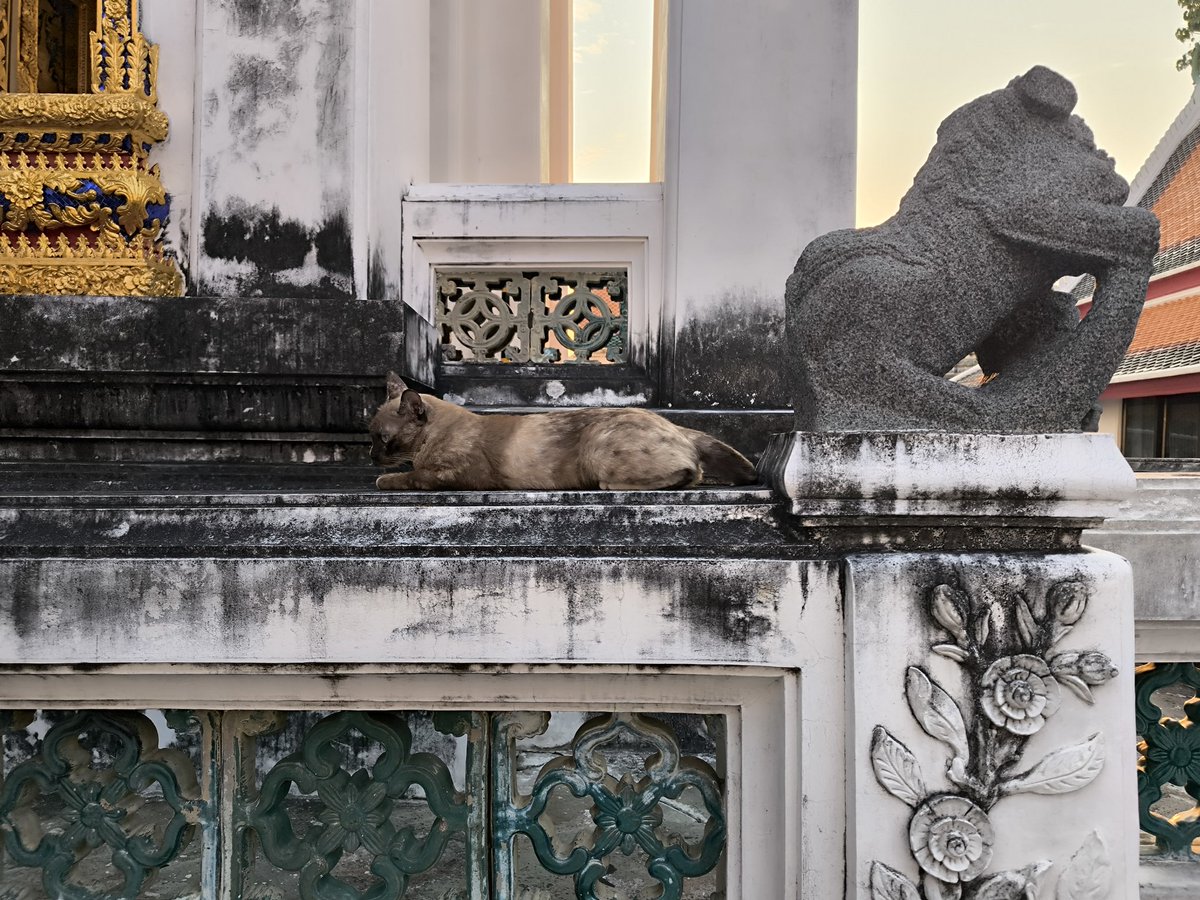 root(@root_9) - Twilog (ツイログ)