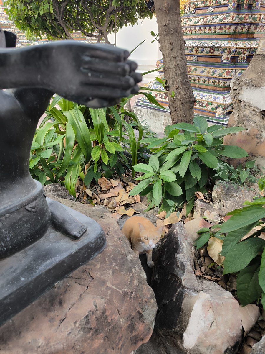 root(@root_9) - Twilog (ツイログ)