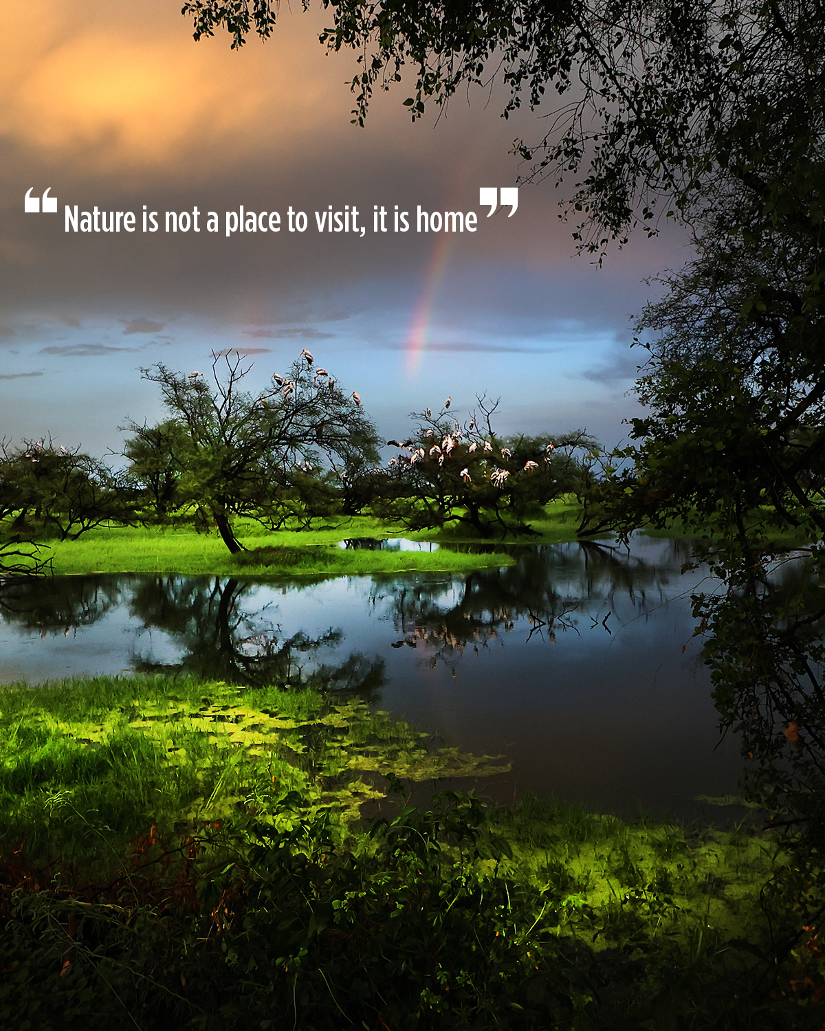 Temporary Escape Quotes Guides Quotes. QuotesGram