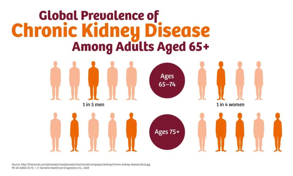 Professor Richard Byng - PenARC