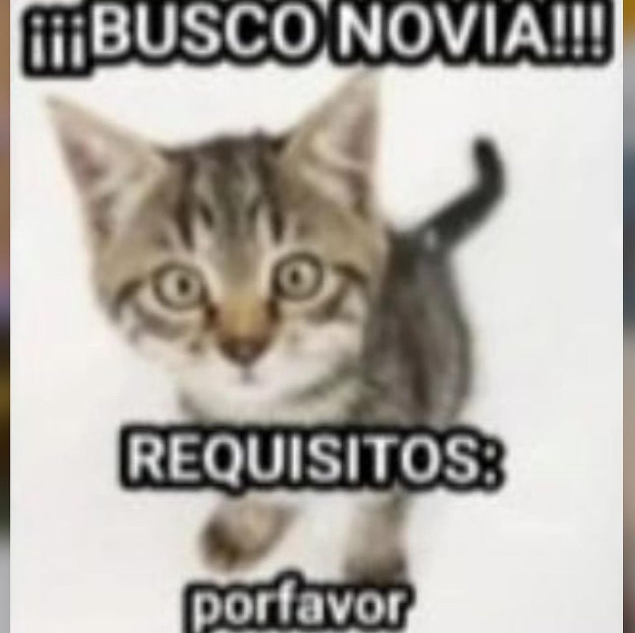 Necesito Una Novia Memes Ni Pa' La Visa Piden Tantos Requisitos Como