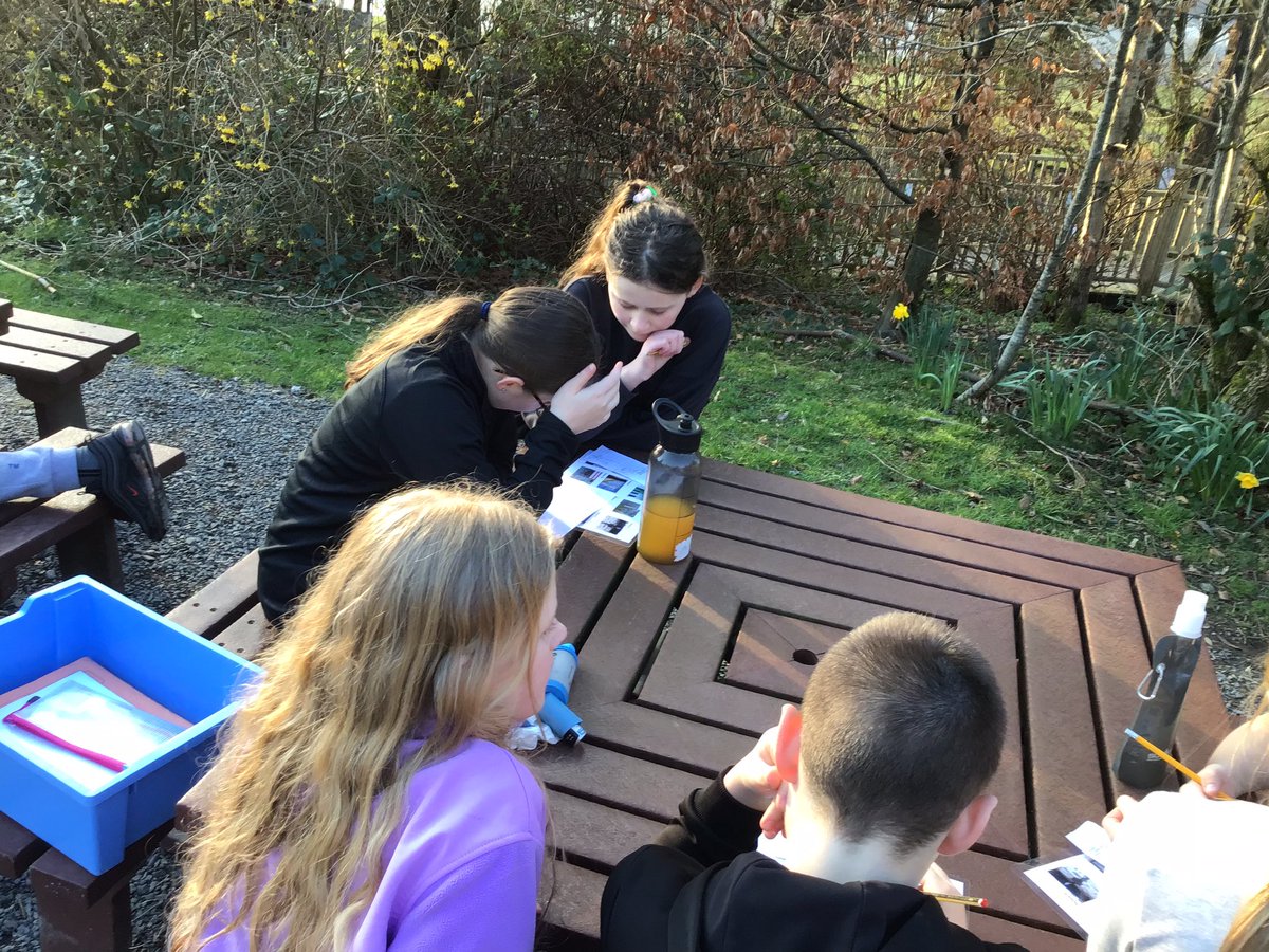 Careers | Simonside Primary School