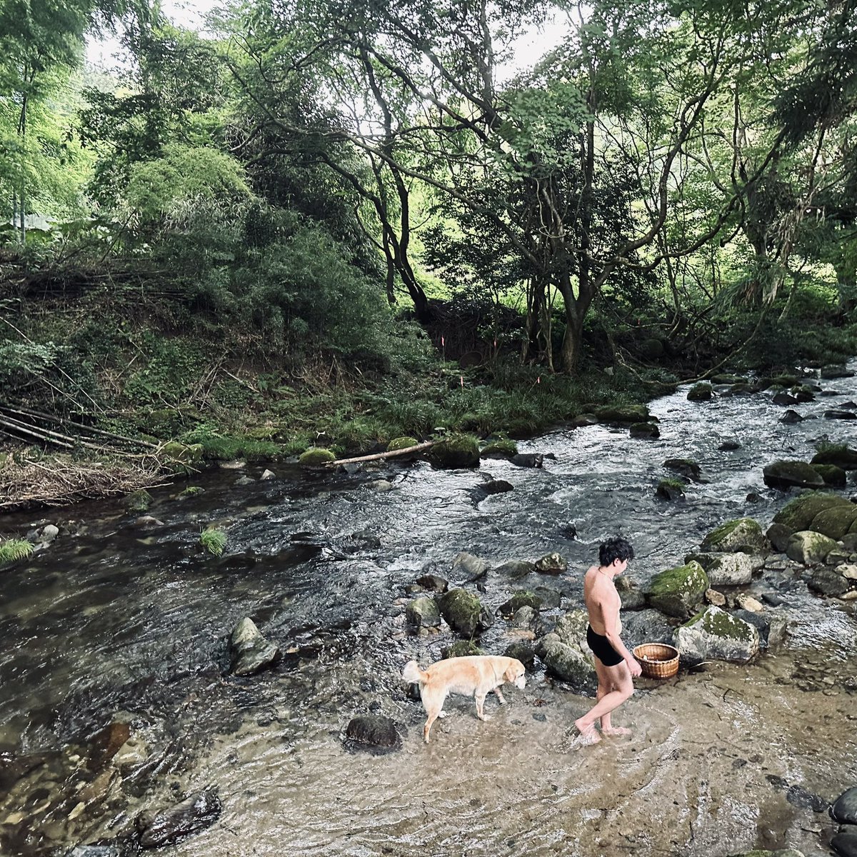 コバヤシ@サウナ好き/ Sauna Freak Kobayashi(@kobayashisauna) - Twilog (ツイログ)