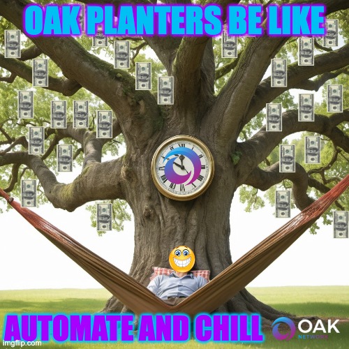 Oak Tree Memes Oak Tree Meme | TikTok