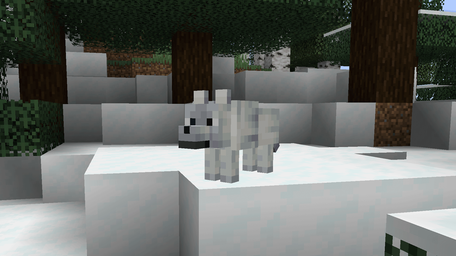 Imágenes De Lobos De Minecraft
