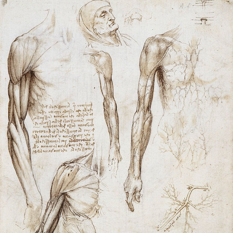 Culture Critic's Threads – Thread Reader App