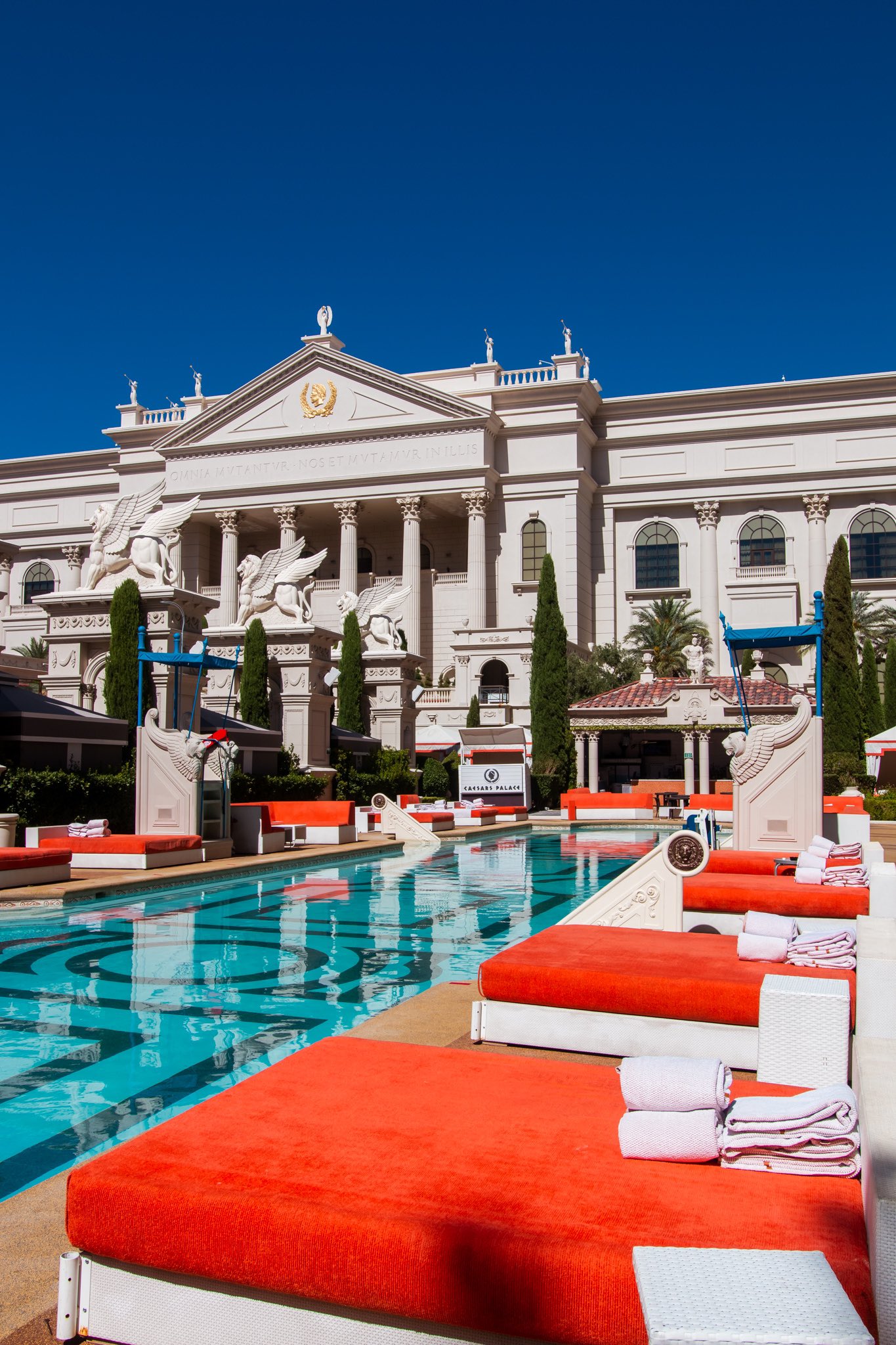 Caesars Palace Pool Caesars Palace On X: "Venus Night Swim Is Back!