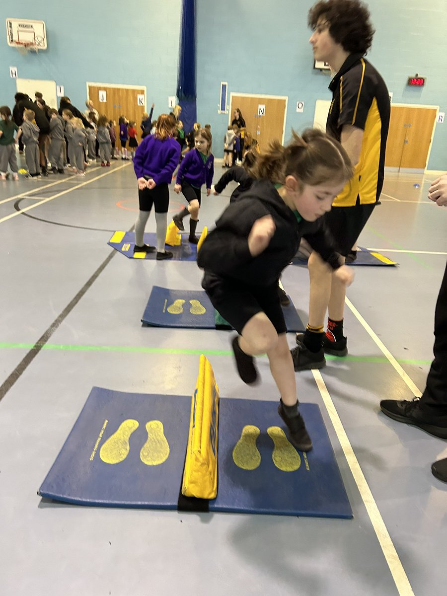 Primitas Learning Partnership