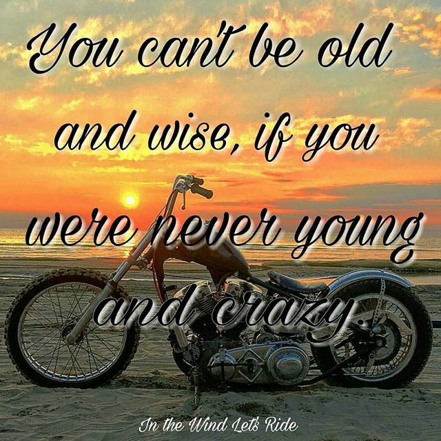 Crazy Biker Quotes Watch Till The End👉 . . . . . . #viral #trending