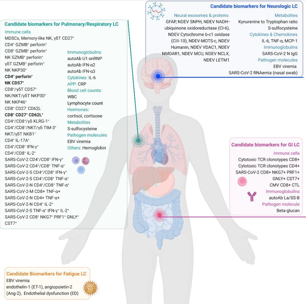 Thread by @RealCheckMarker on Thread Reader App – Thread Reader App