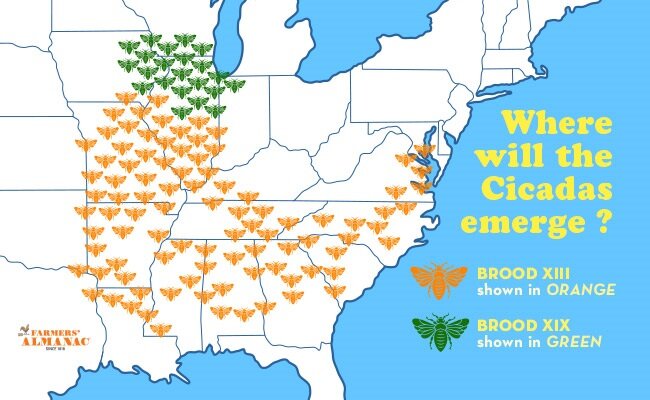 Cicada Swarm 2013 Map Cicada Brood Static Map | PDF