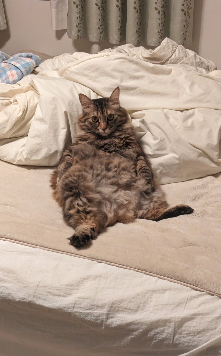 浅見潤(@asami_jun) - Twilog