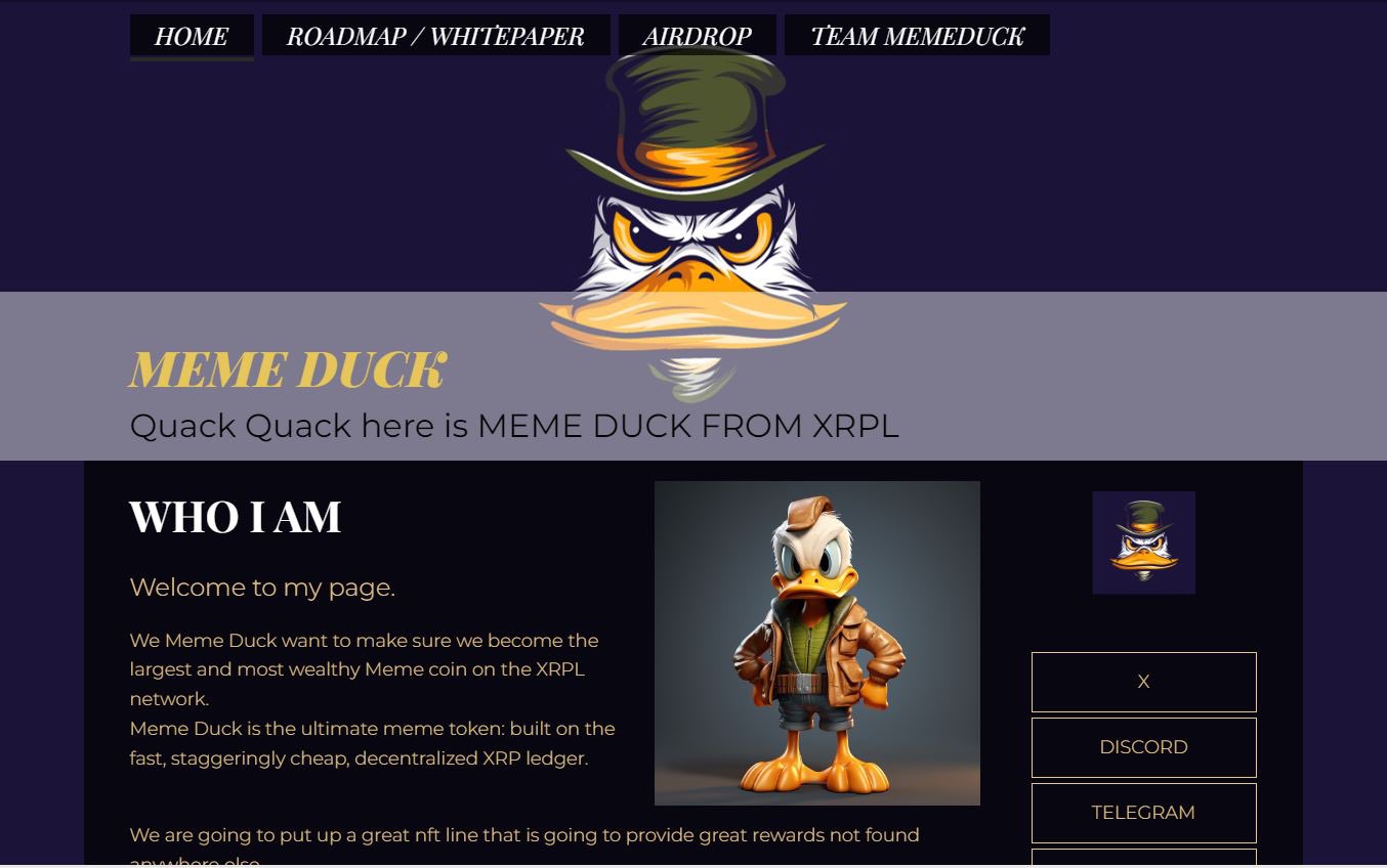 Memes Duck Advice