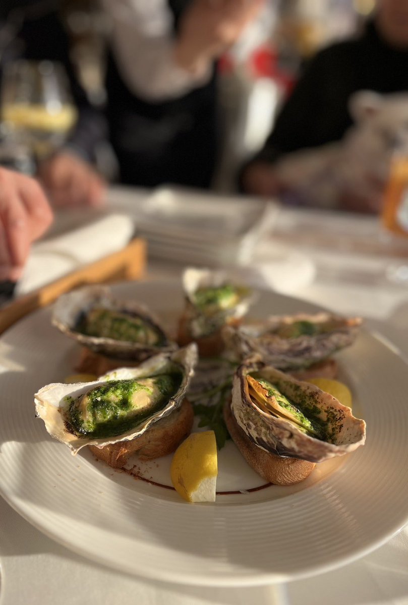 CMN-018 Collar Service Dog Yu Kawakami - Yuu Kawakami