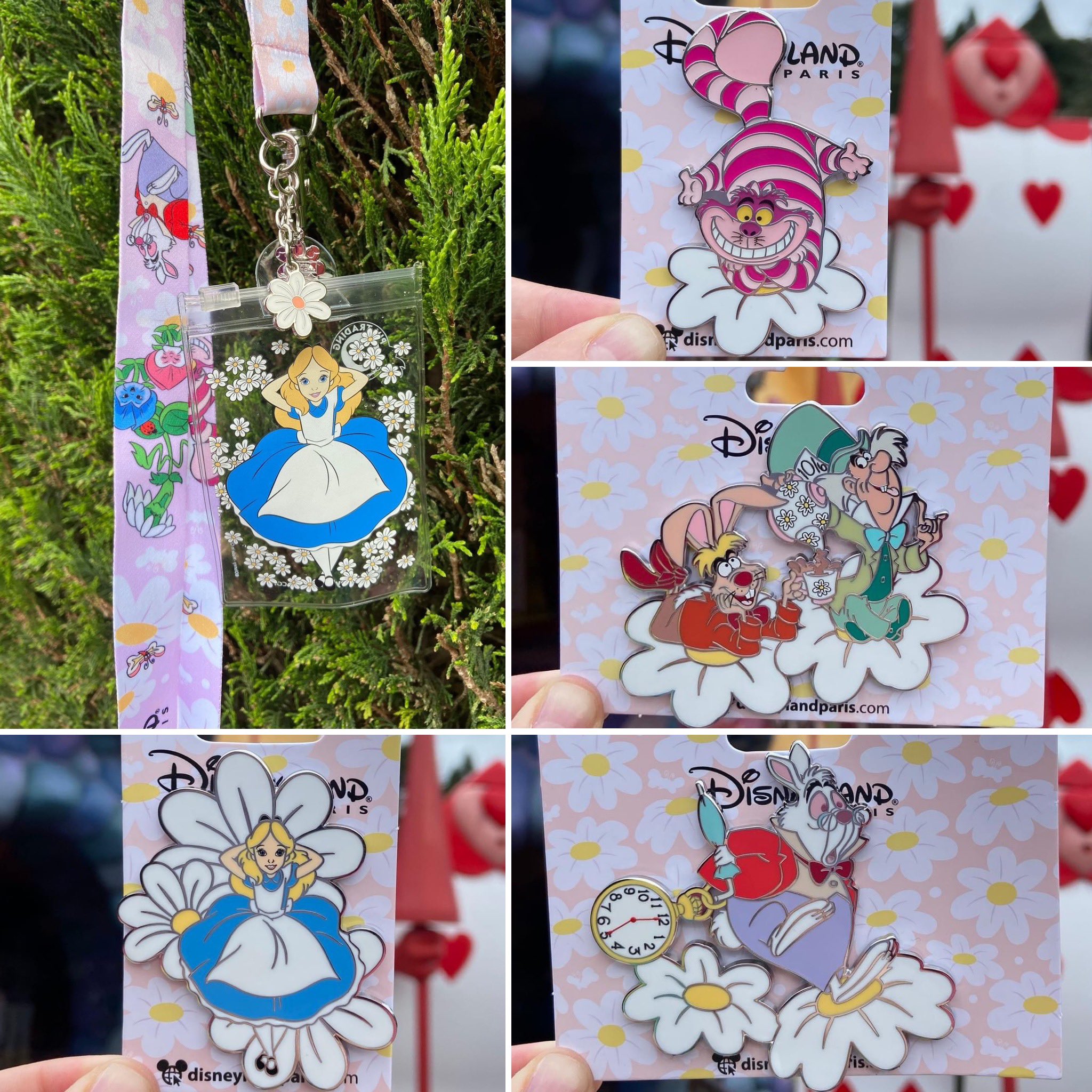 Alice In Wonderland 2024 Larve