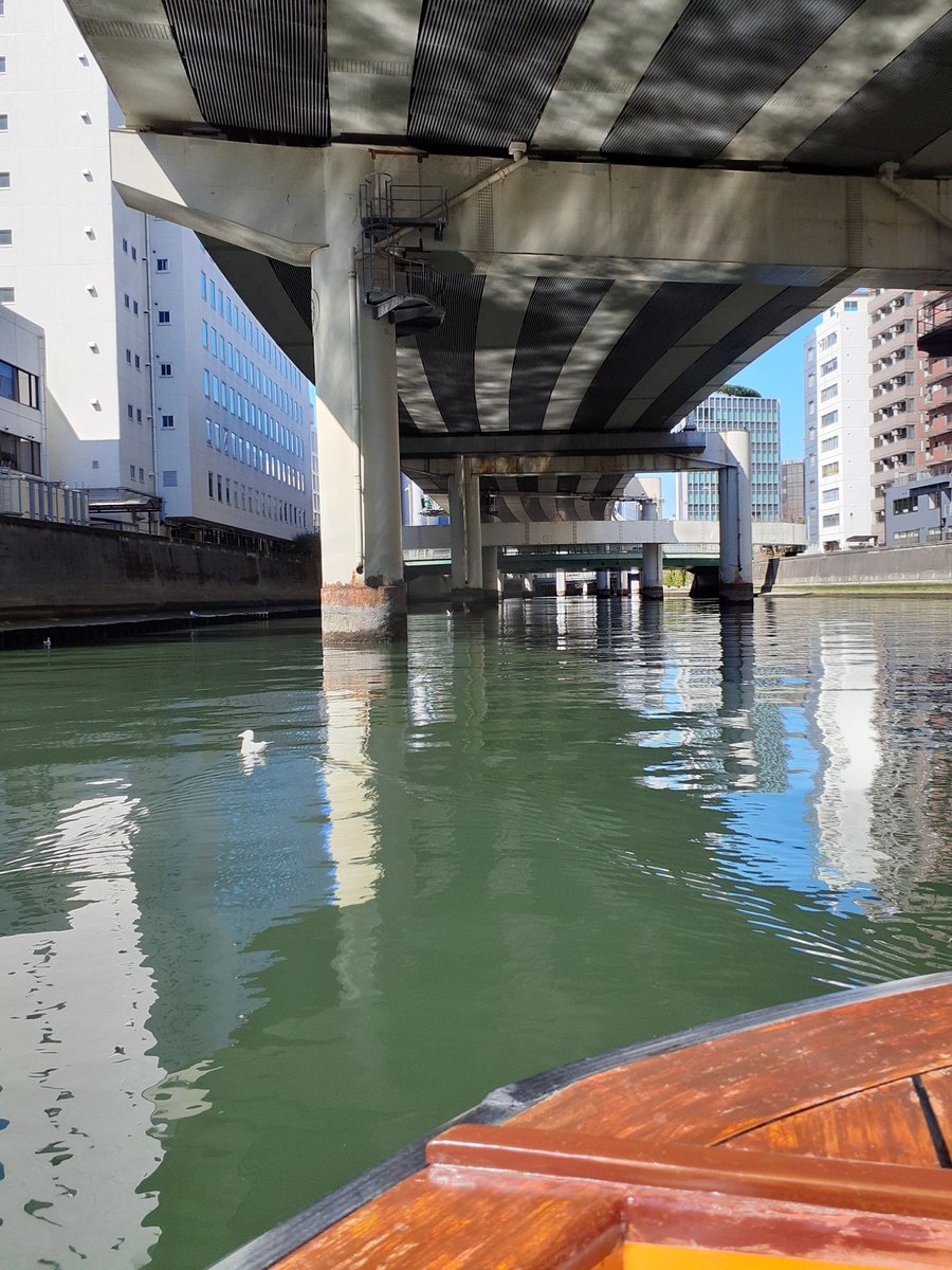 KCT8(@ky_ty) - Twilog (ツイログ)