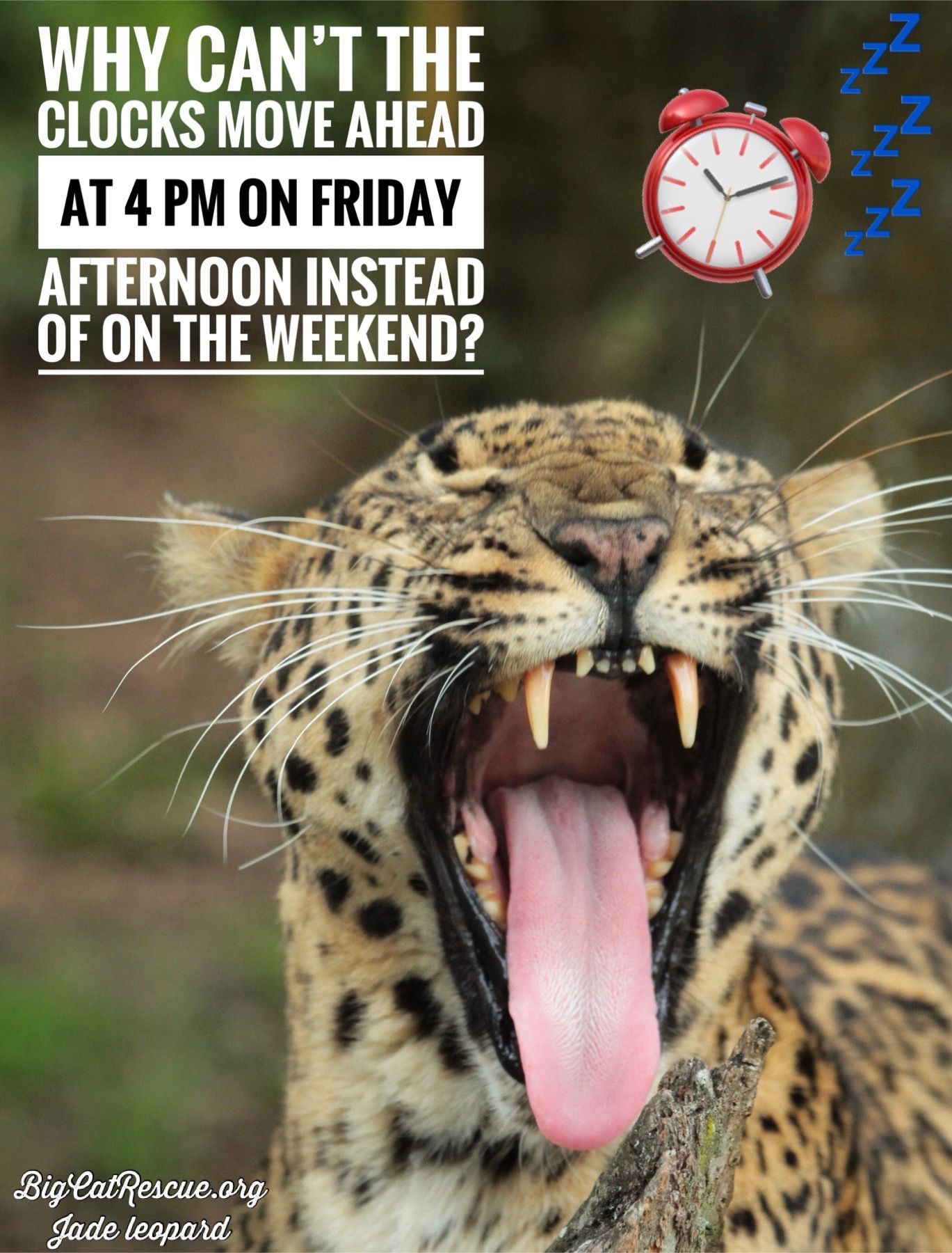 Funny Clocks Go Forward Quotes