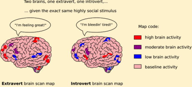 Introvert Vs Extrovert Brain What Is Introversion? A Cute Comic Series