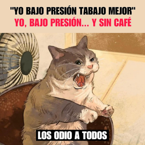 Odio Los Memes Solo Quería Decir Que Odio Los Memes De Oklahoma. Son