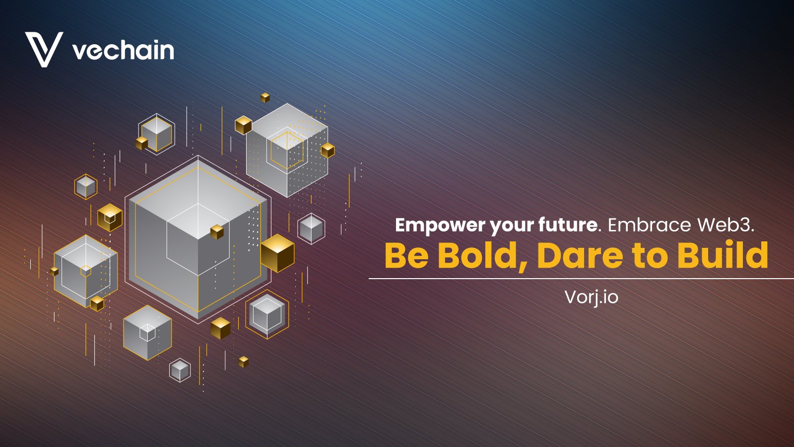 "Build là gì?" - Khám phá định nghĩa và ứng dụng của từ Build trong ...