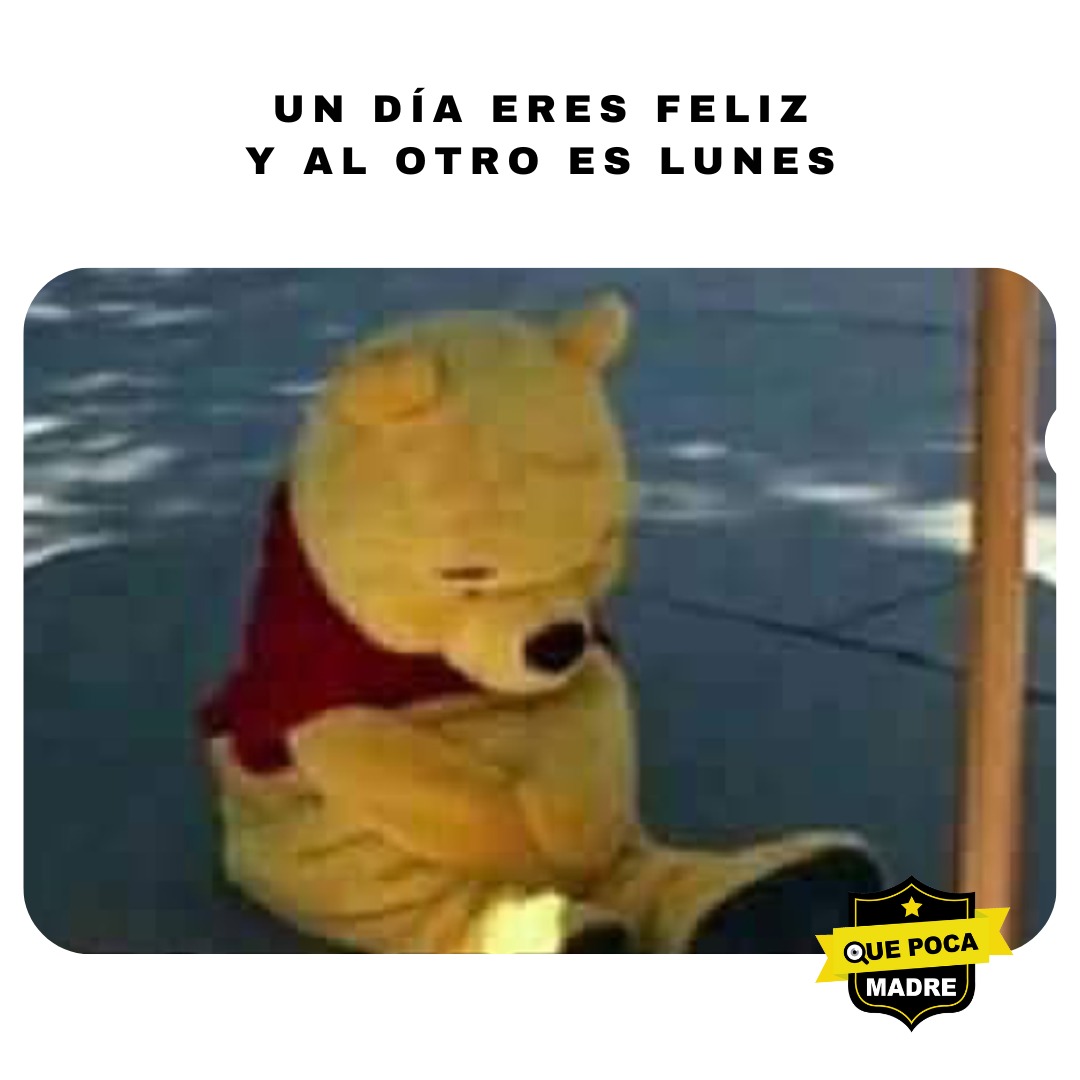 Memes Ay Que Oso Memes Para Los Comentarios De Facebook 16