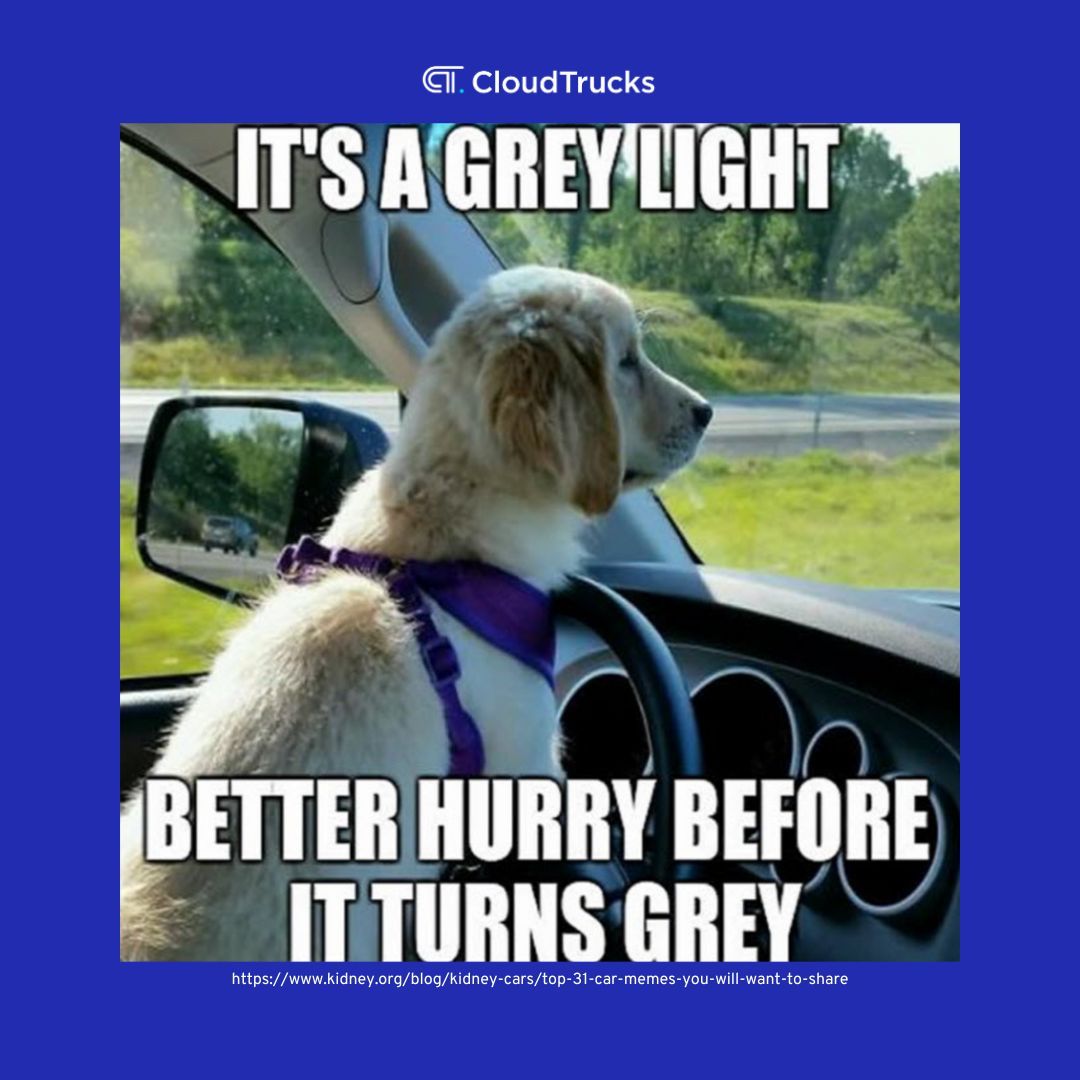Freight Dog Memes Marshall Logistics Dubai | Stress Free Pet