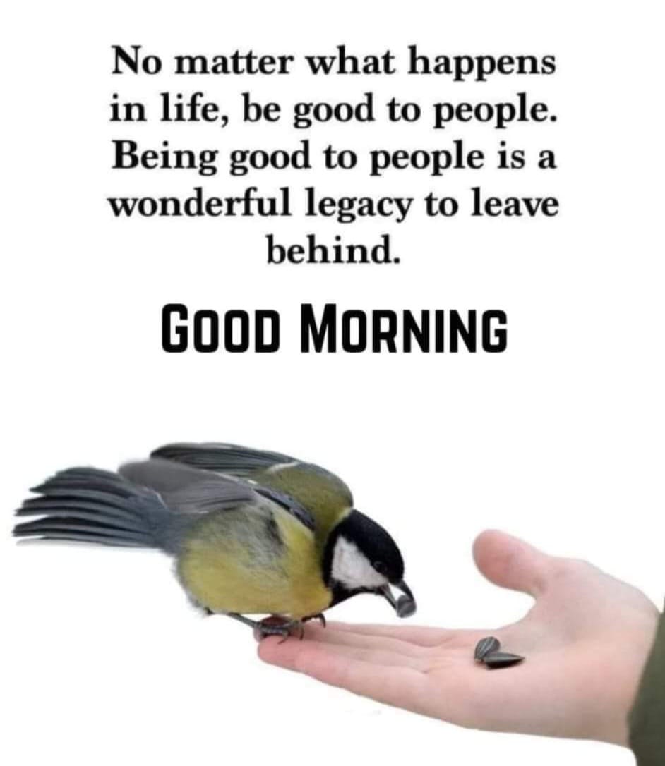 Good Morning Everyone Quotes