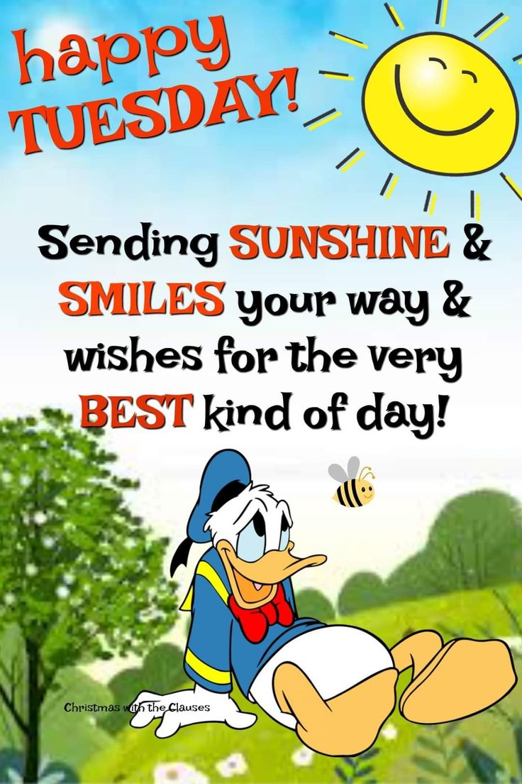 Happy Tuesday Funny Pics Happy Tuesday Gif – Gifsbuddy.com