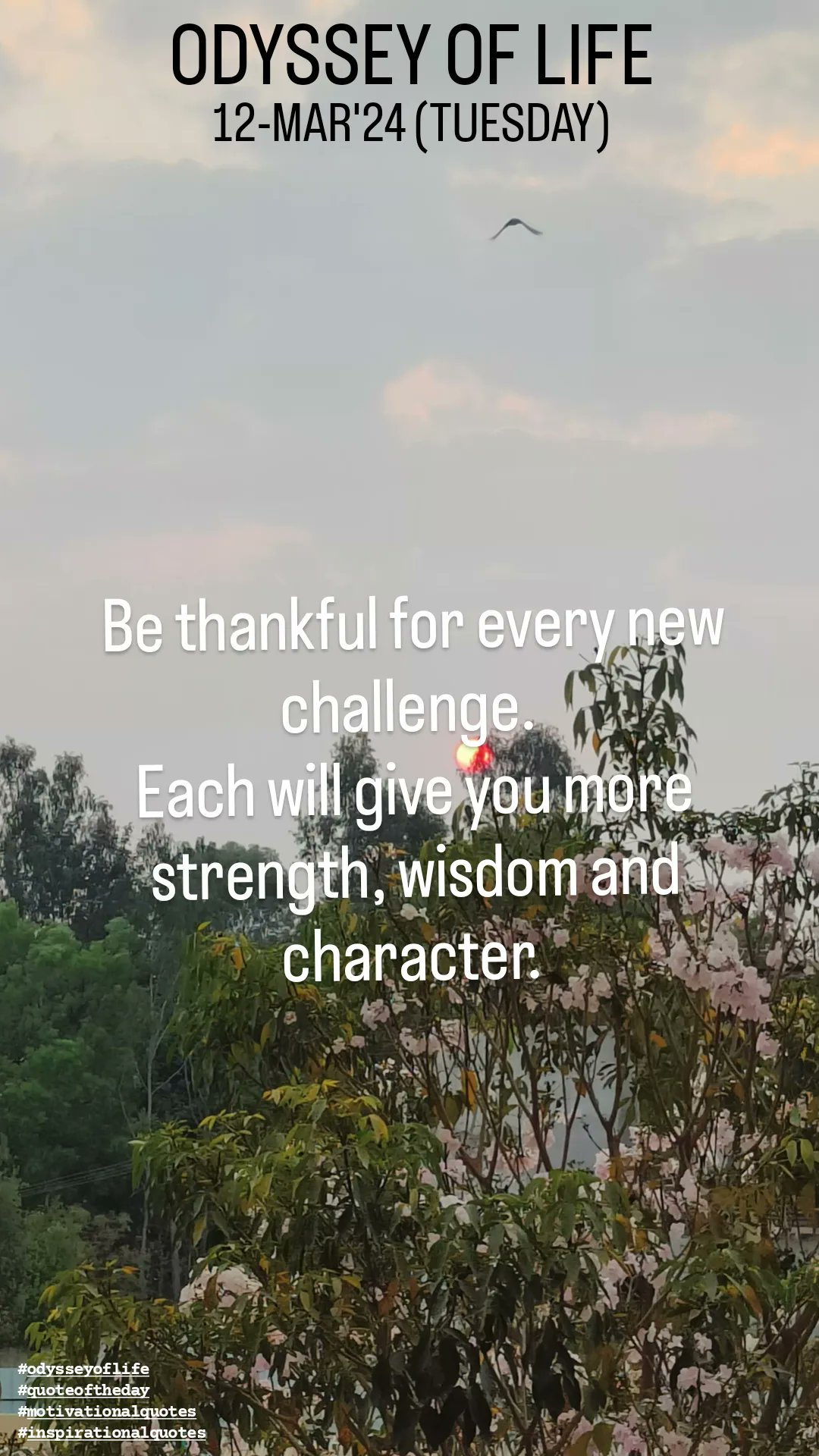 24 Day Challenge Quotes