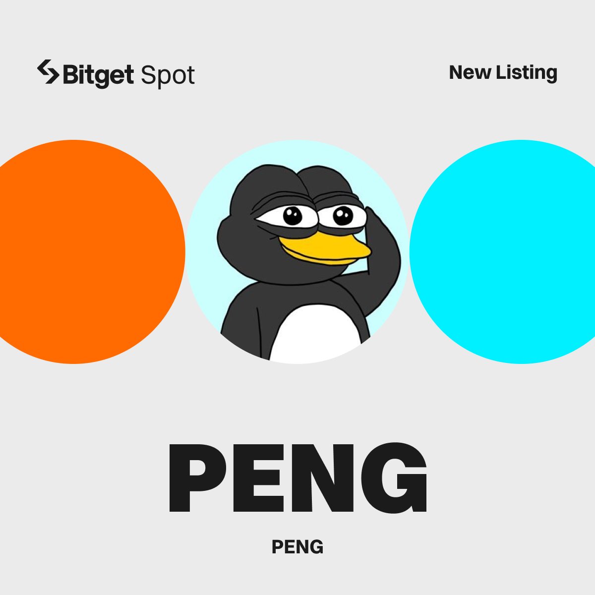 Memes Peng Penguin Imgflip