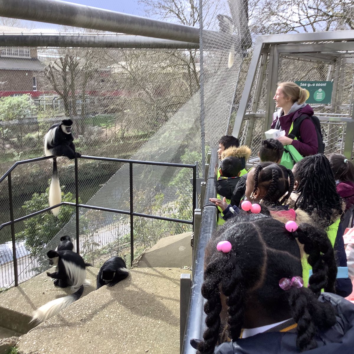 Harris Primary Academy Merton